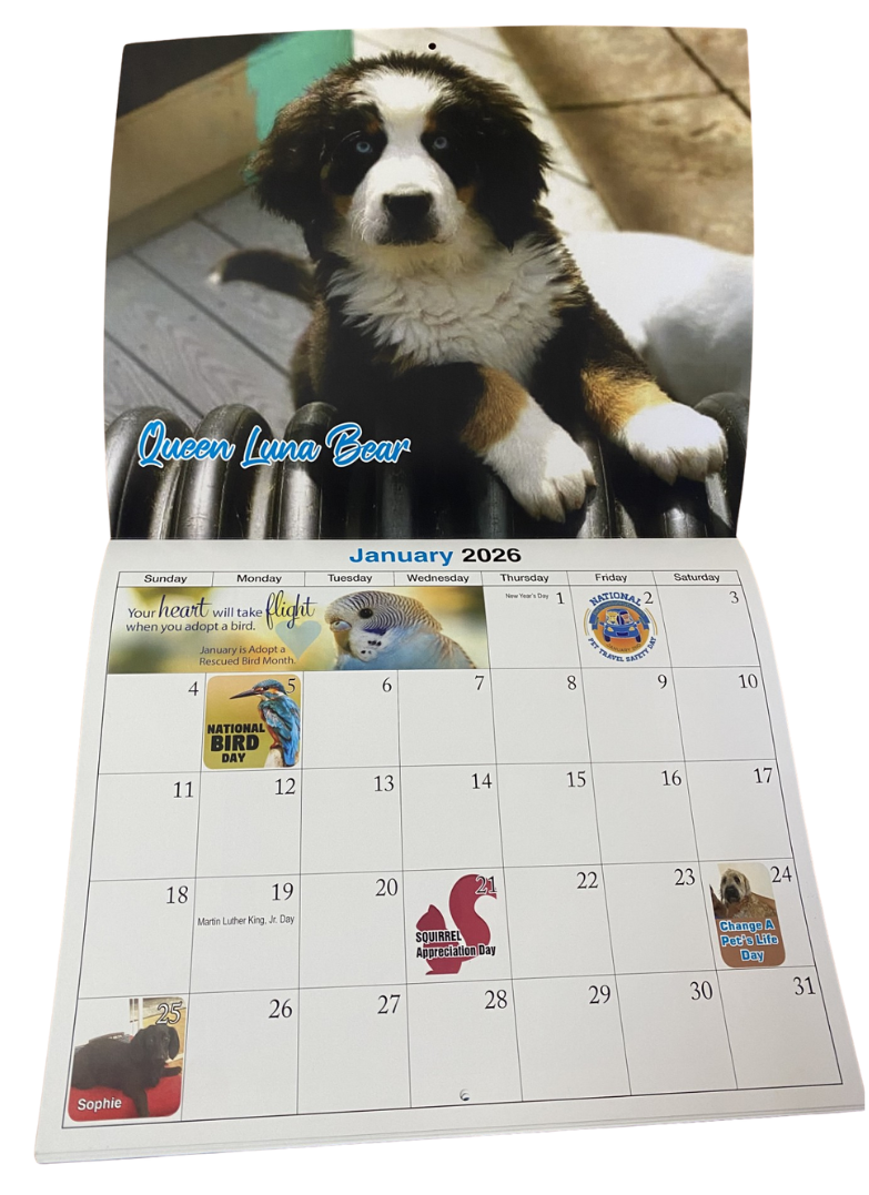 2026 Pet Photo Calendar – Peninsula SPCA